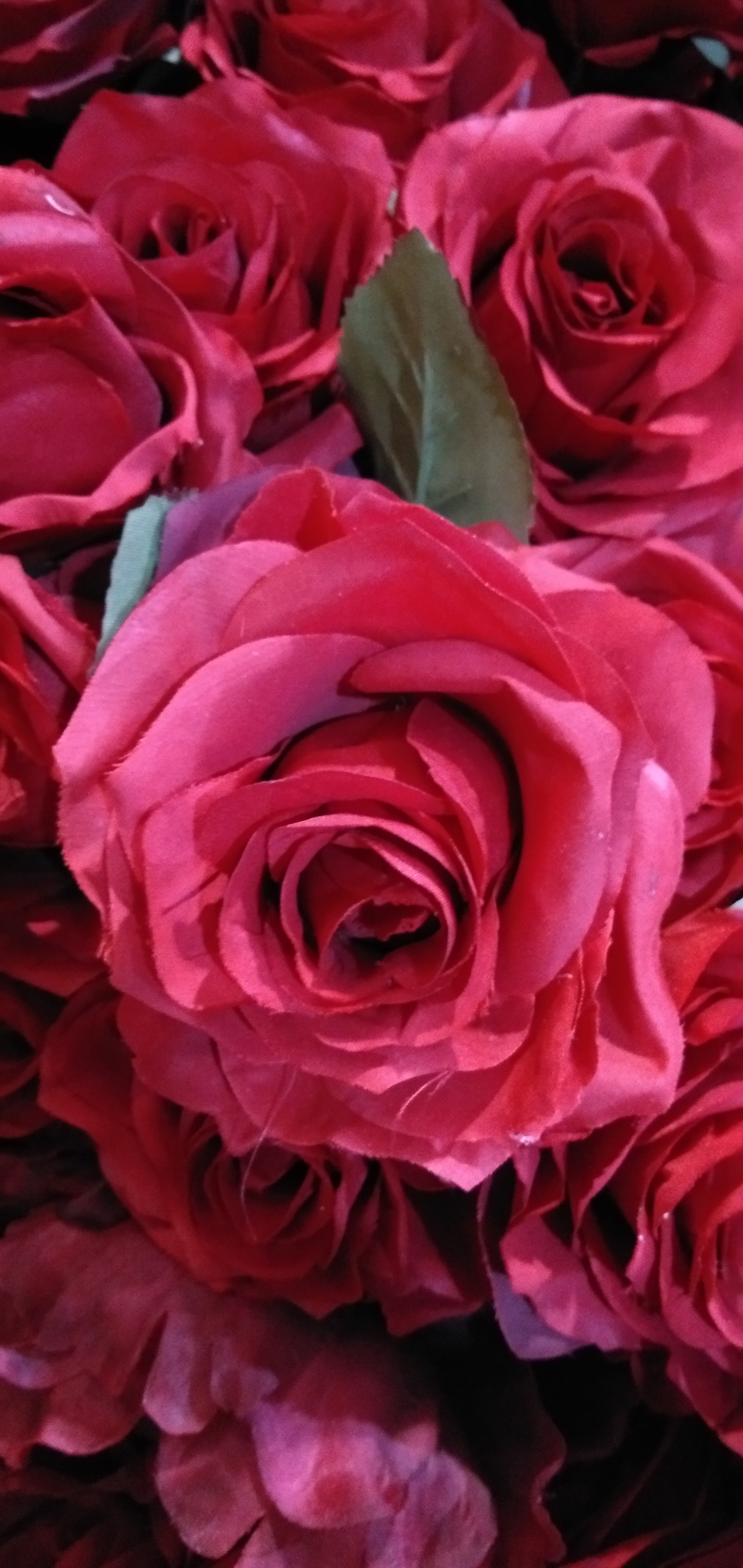 Dark Pink Flowers Wallpapers - Wallpaper Cave