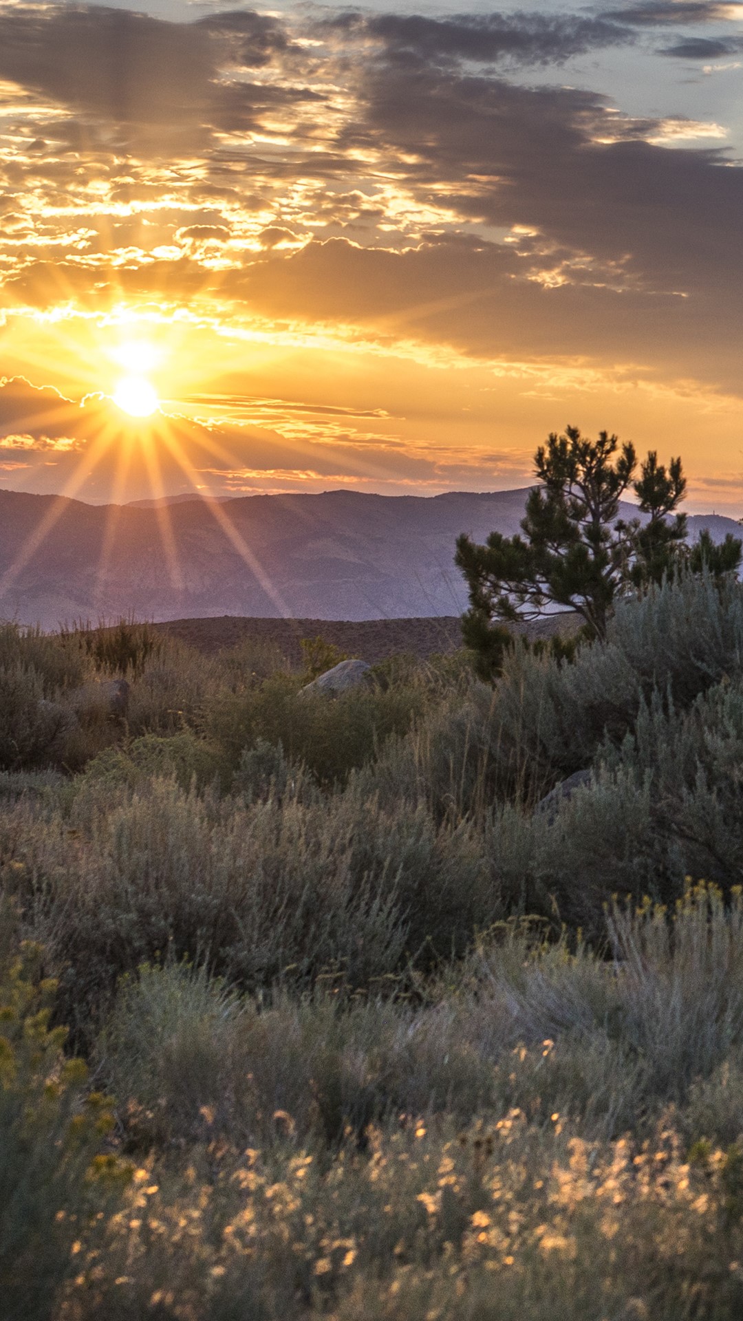 Reno Nevada Wallpapers - Wallpaper Cave