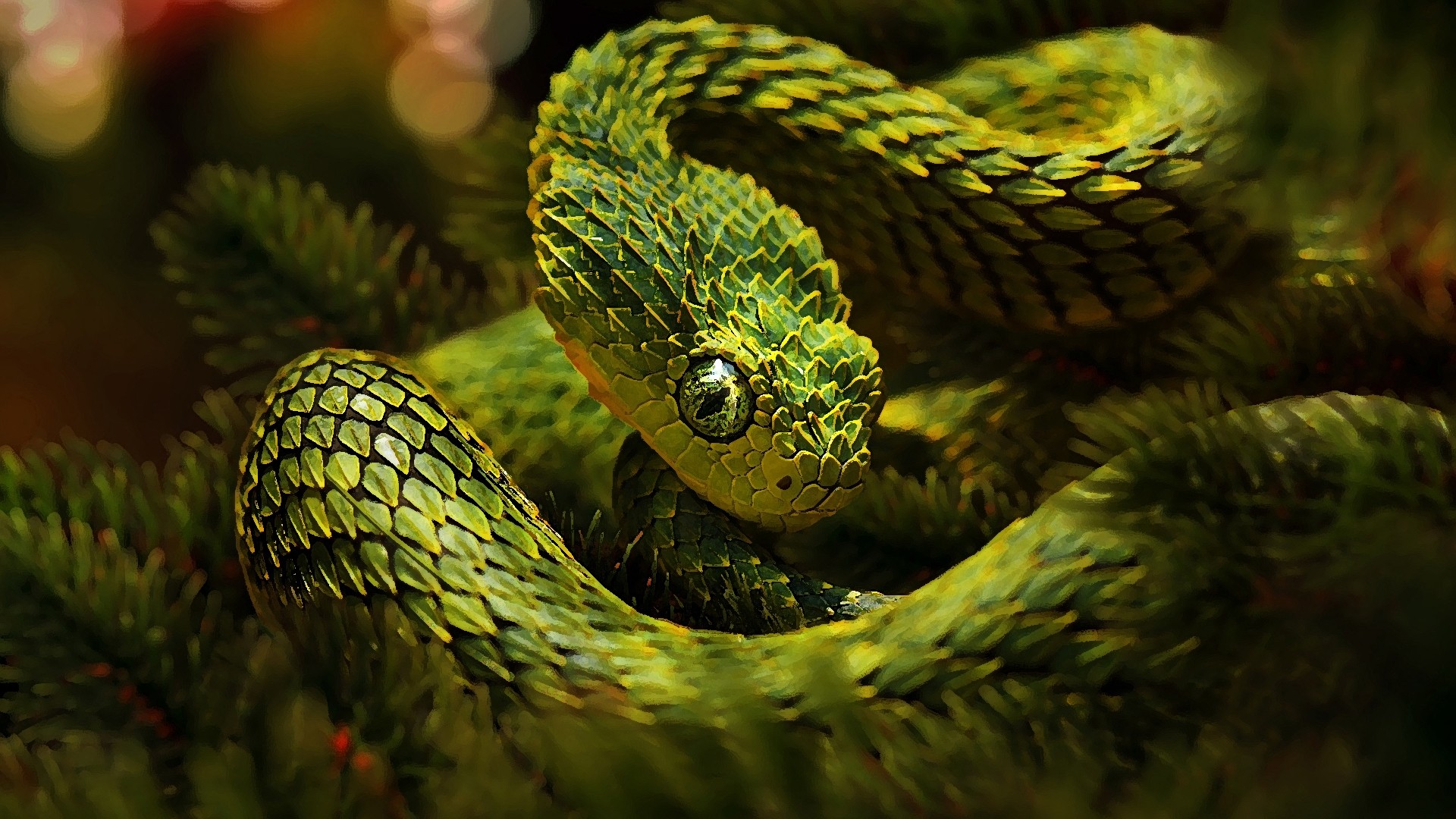 Snake Desktop Wallpapers - Wallpaper Cave