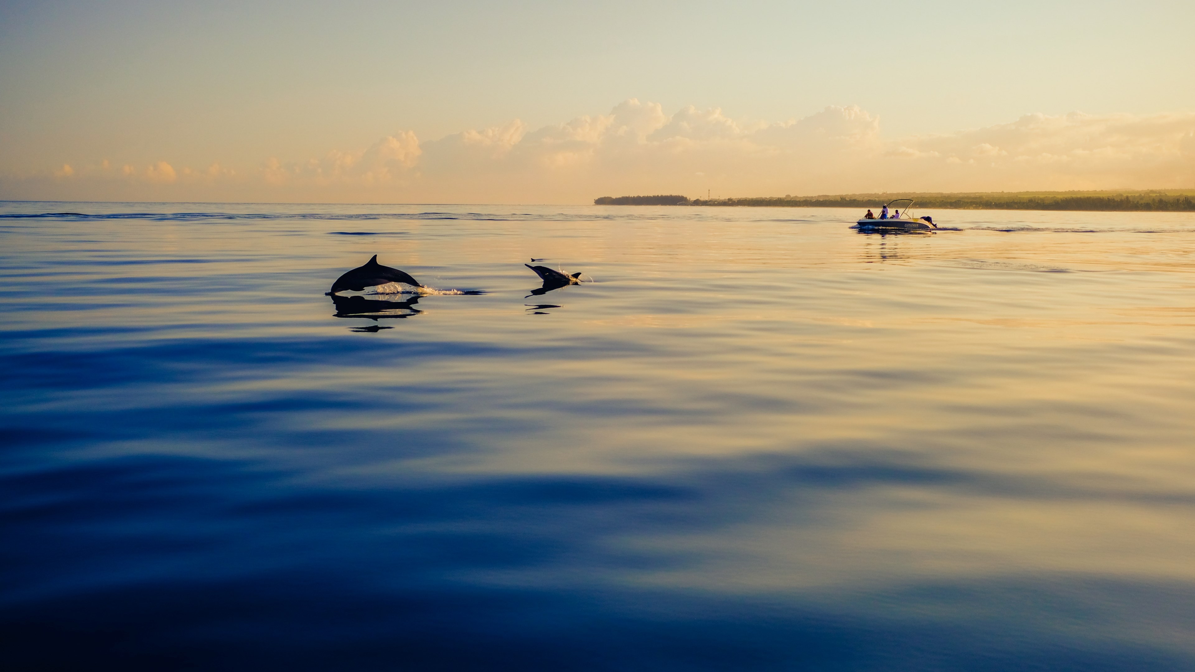 Magical Morning Wallpapers - Wallpaper Cave