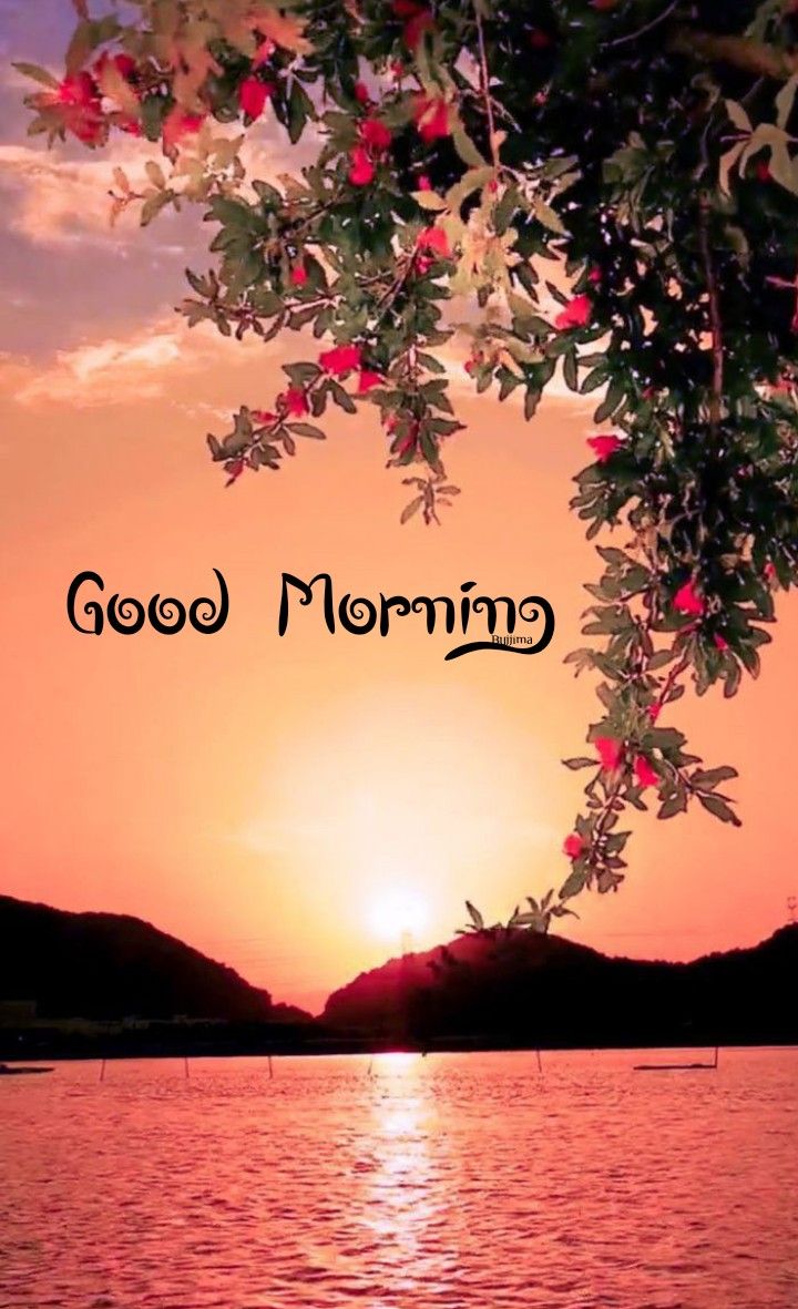 Magical Morning Wallpapers - Wallpaper Cave