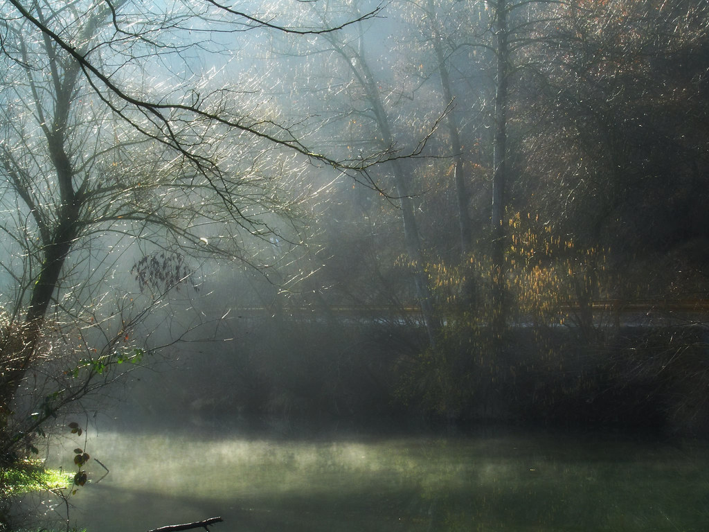 Magical Morning Wallpapers - Wallpaper Cave