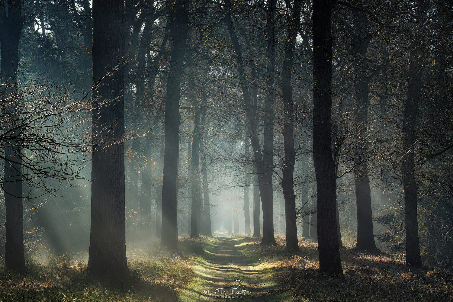 Magical Morning Wallpapers - Wallpaper Cave