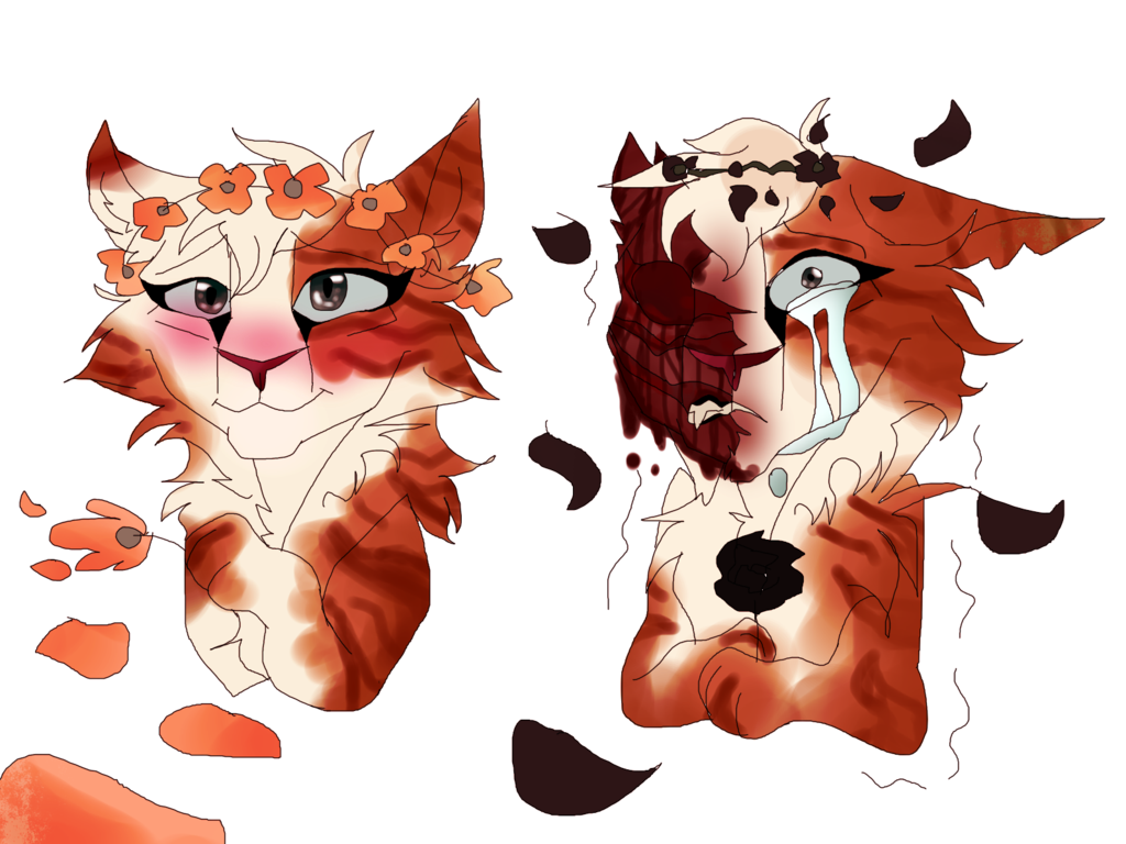 Brightheart Wallpapers - Wallpaper Cave