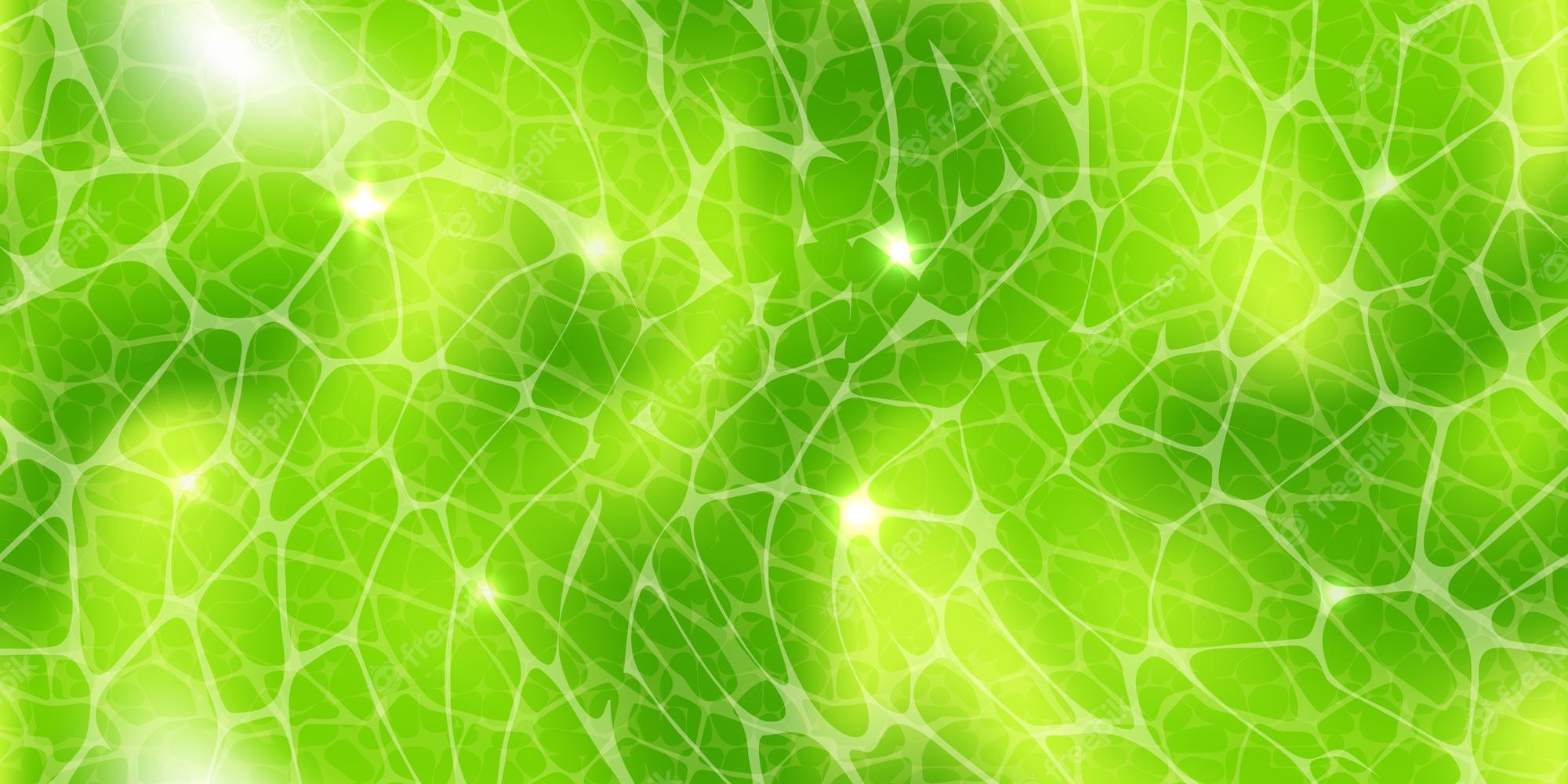 Plant Cells Wallpapers - Wallpaper Cave