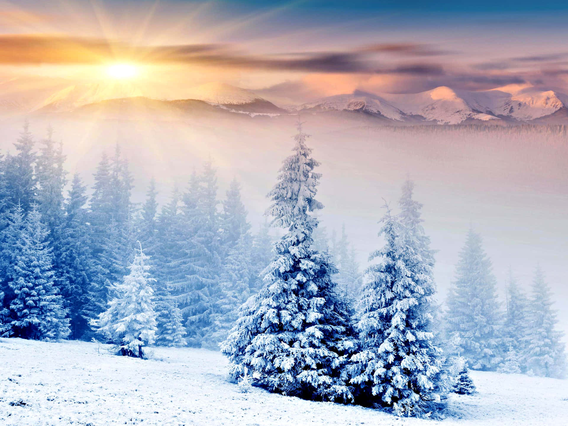 Wintertime Wallpapers - Wallpaper Cave