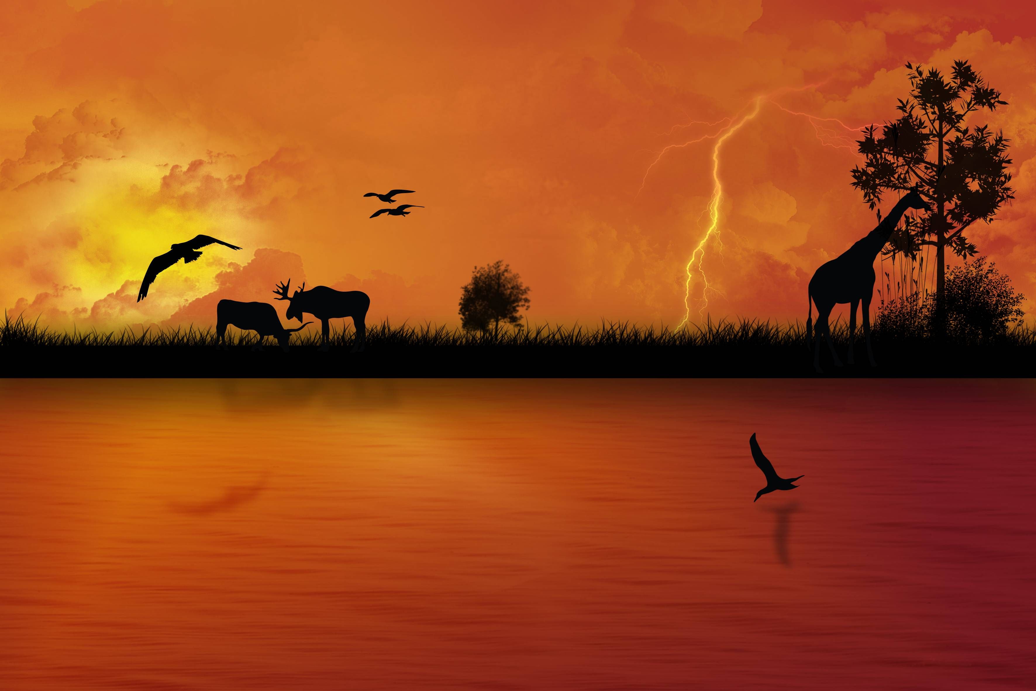 Africa Nature Wallpapers - Wallpaper Cave