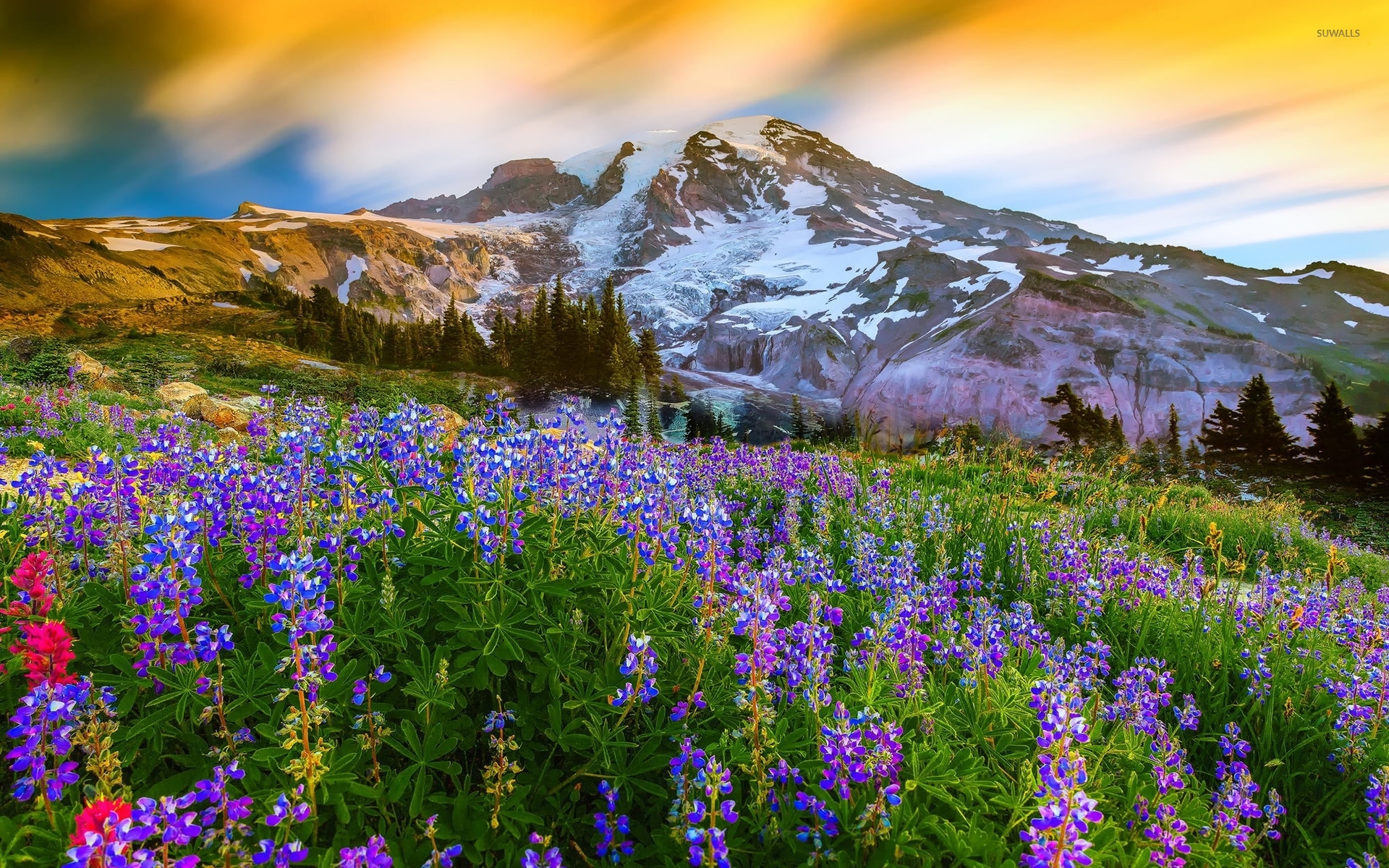 Mount Rainier Wallpaper