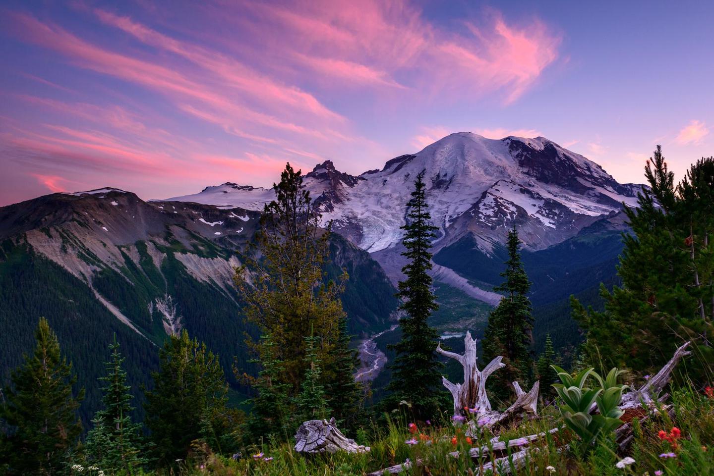 Mount Rainier National Park HD Wallpapers - Wallpaper Cave