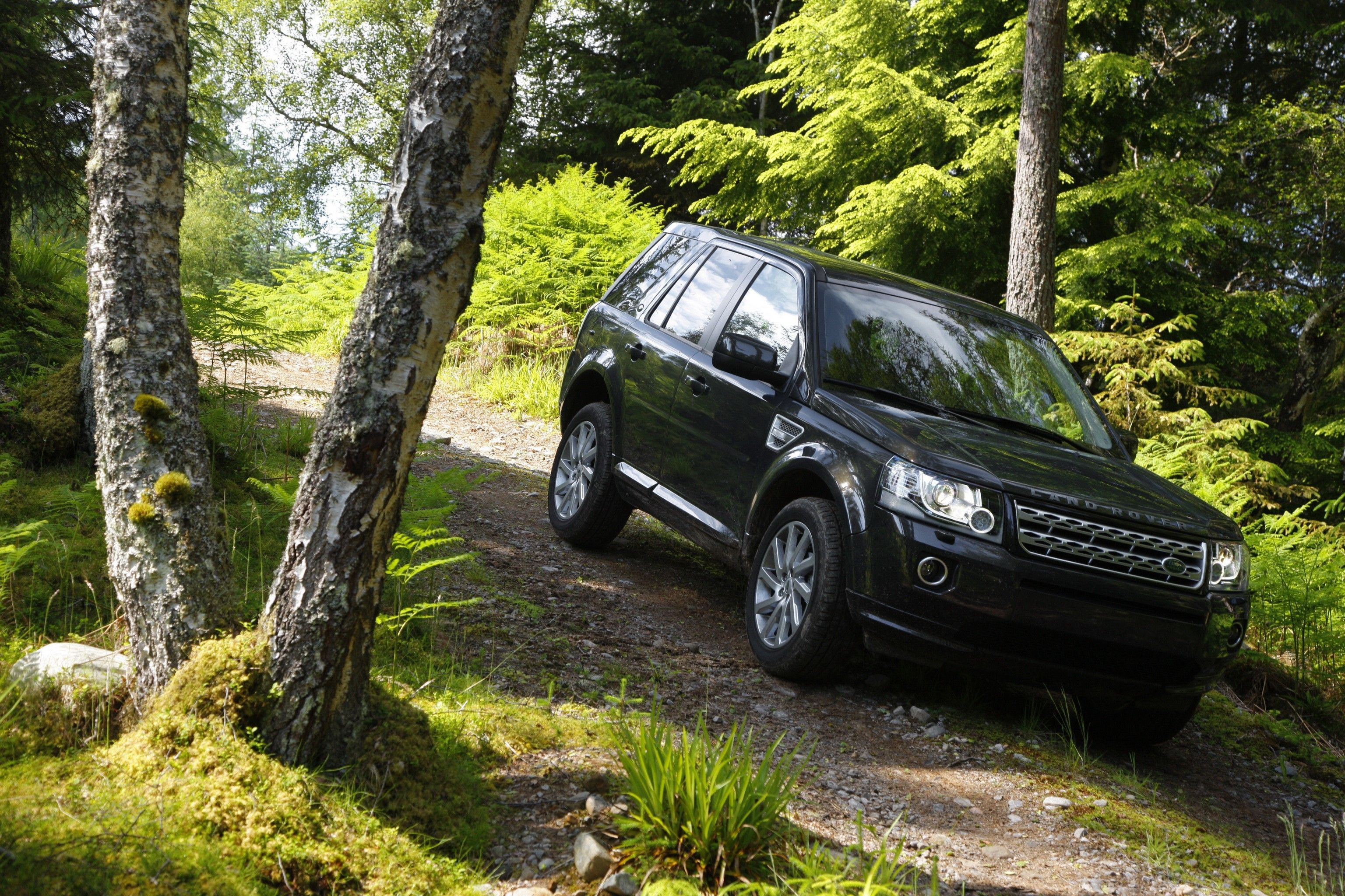 Freelander Wallpapers - Wallpaper Cave