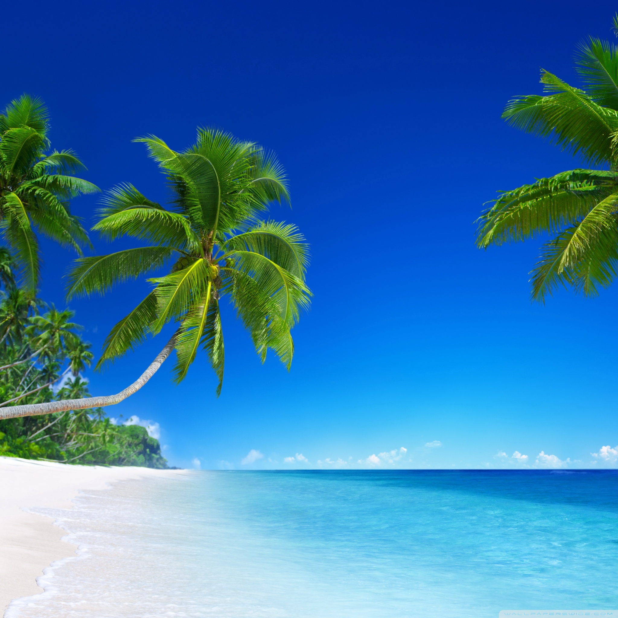 Tropical Ocean Wallpapers - Wallpaper Cave