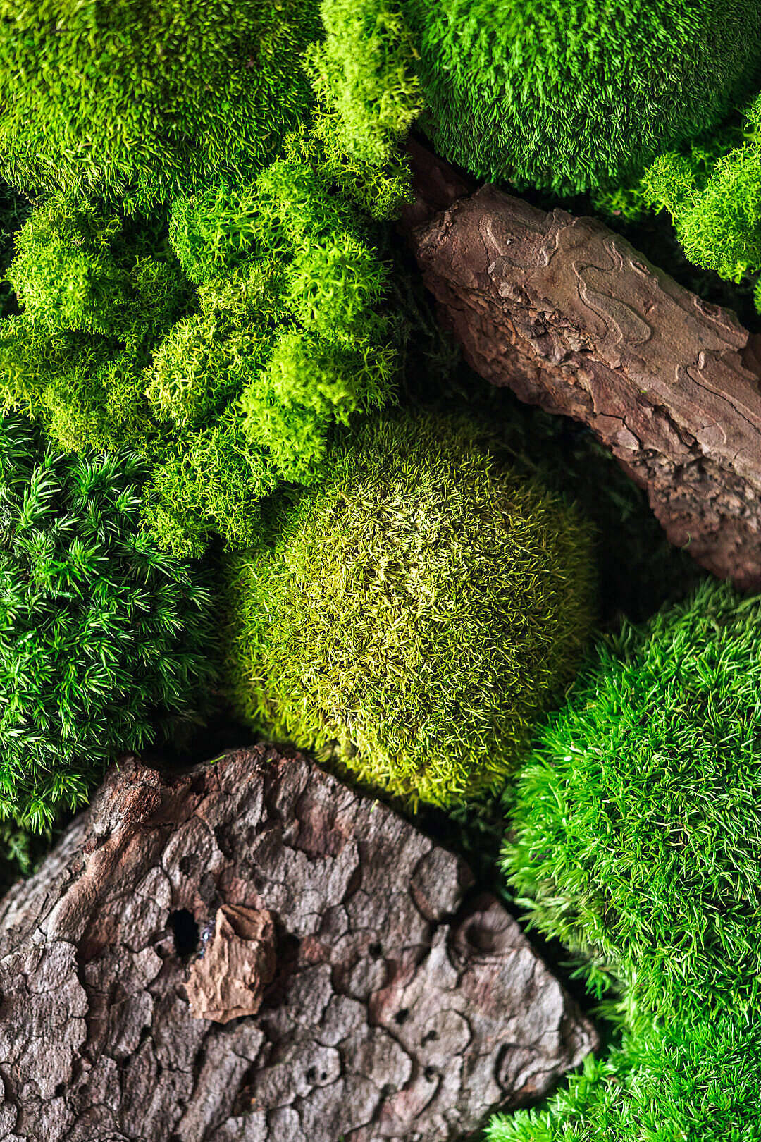 Moss Green Wallpapers - Wallpaper Cave