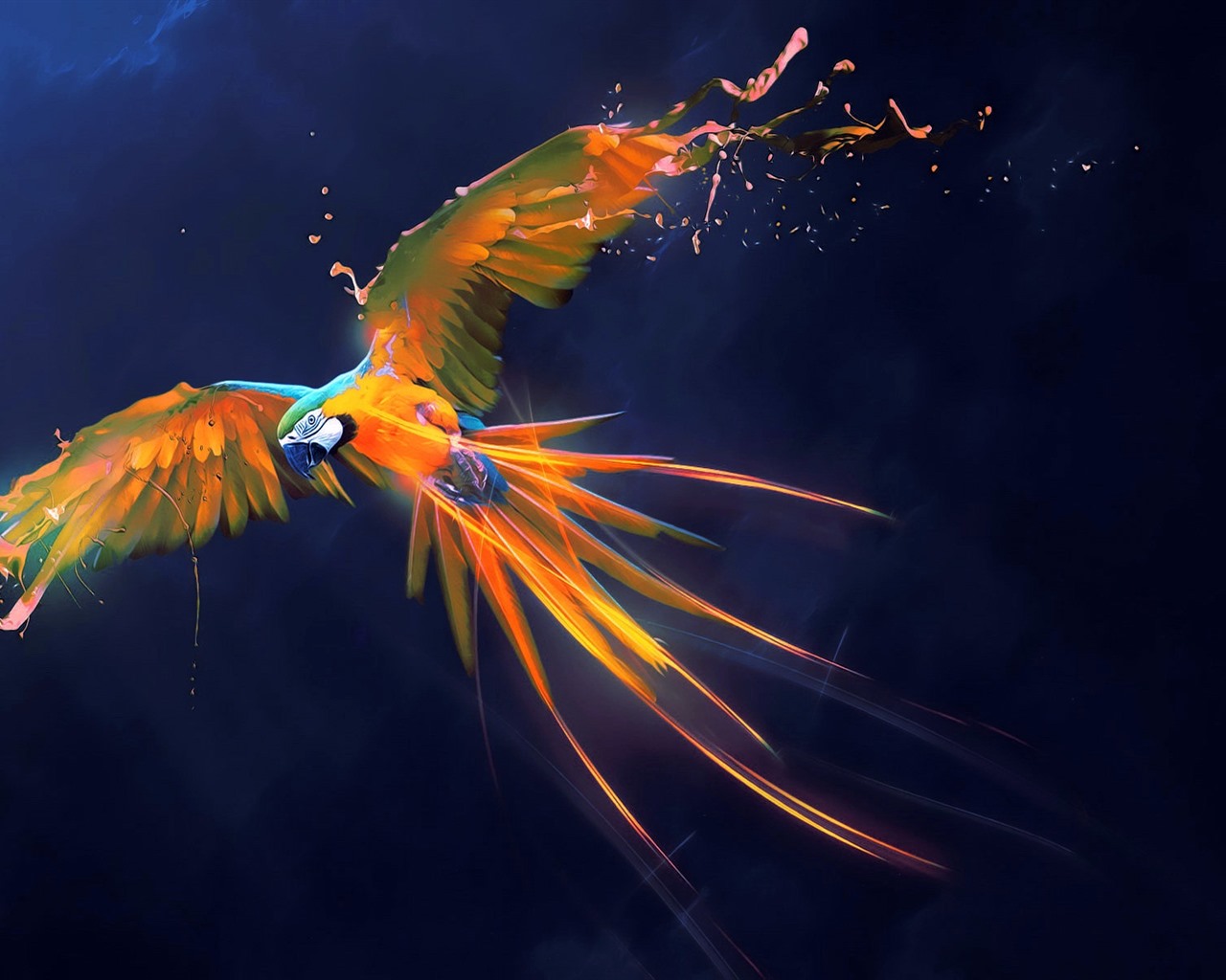 Beautiful Parrots Wallpapers - Wallpaper Cave