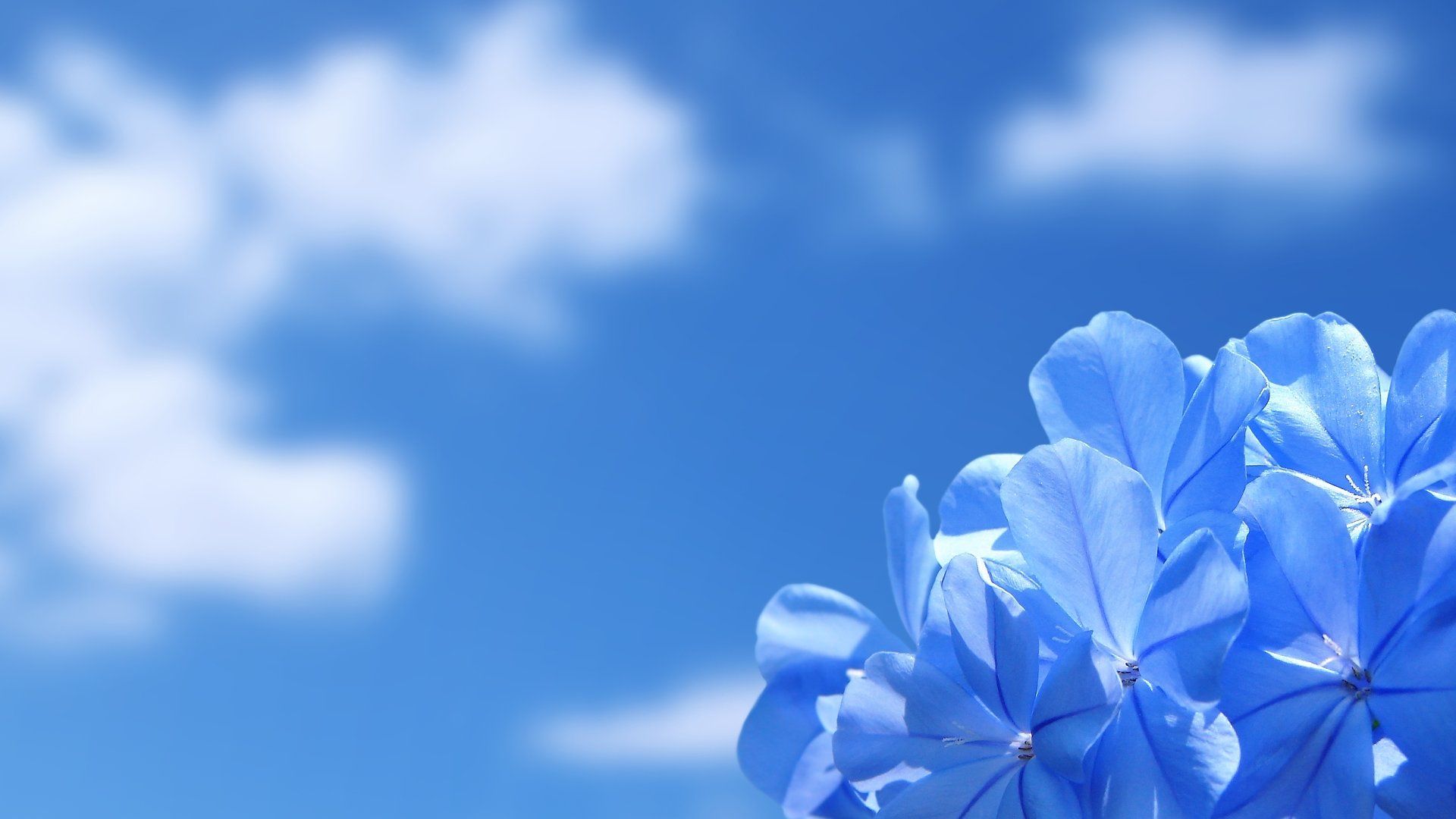 Aesthetic Blue Spring Laptop Wallpapers - Wallpaper Cave