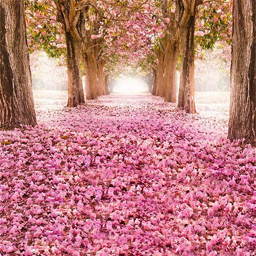 Spring Japanese Blossom Wallpapers - Wallpaper Cave
