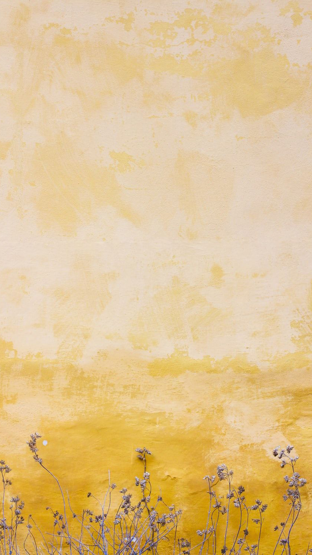 Summer Softie Wallpapers - Wallpaper Cave