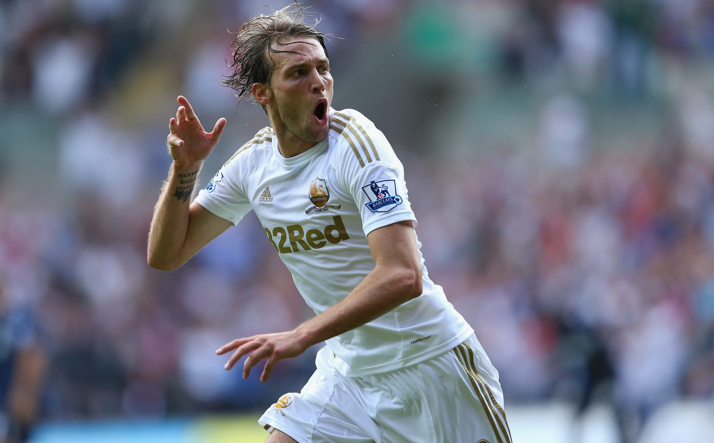 Michu Wallpapers - Wallpaper Cave