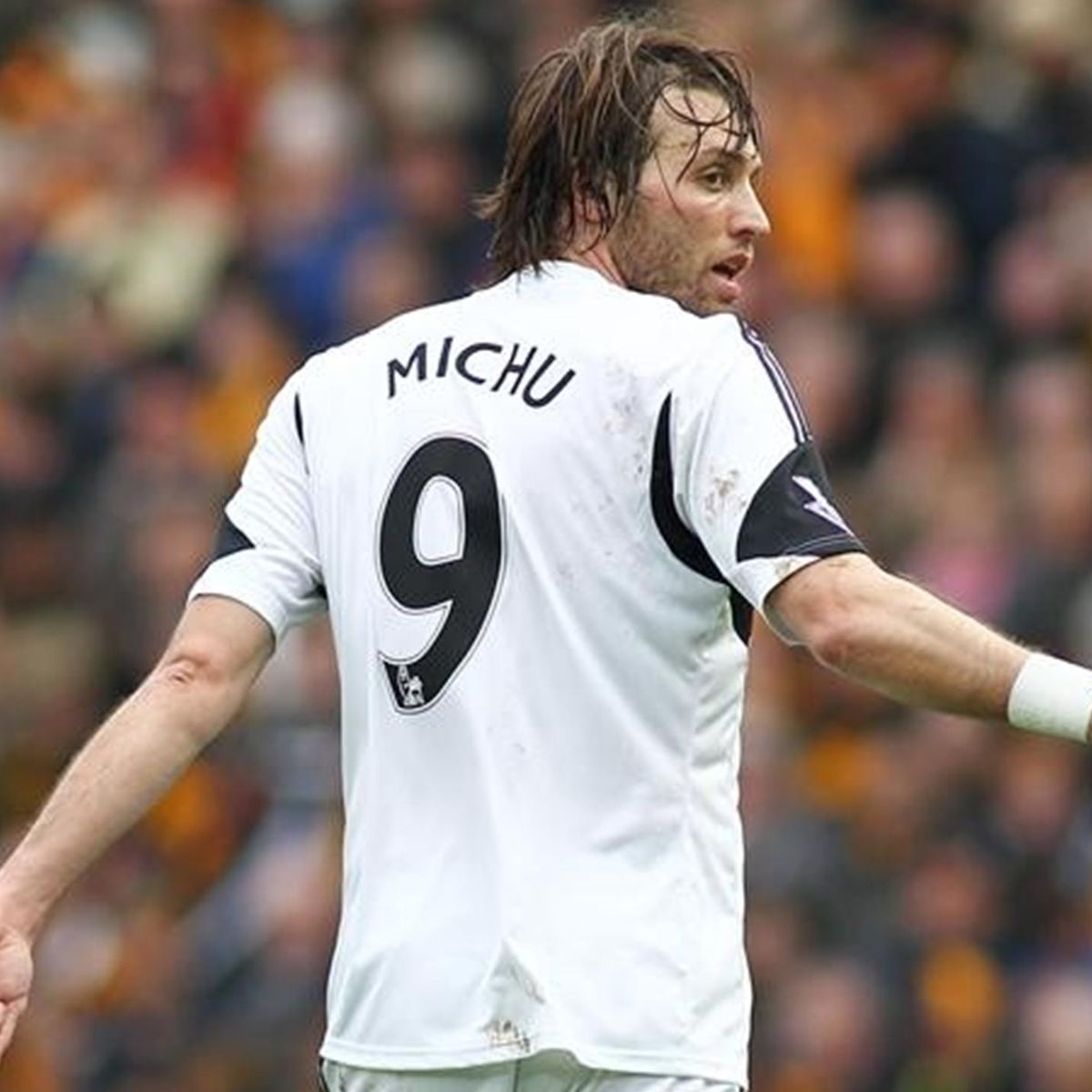 Michu Wallpapers - Wallpaper Cave