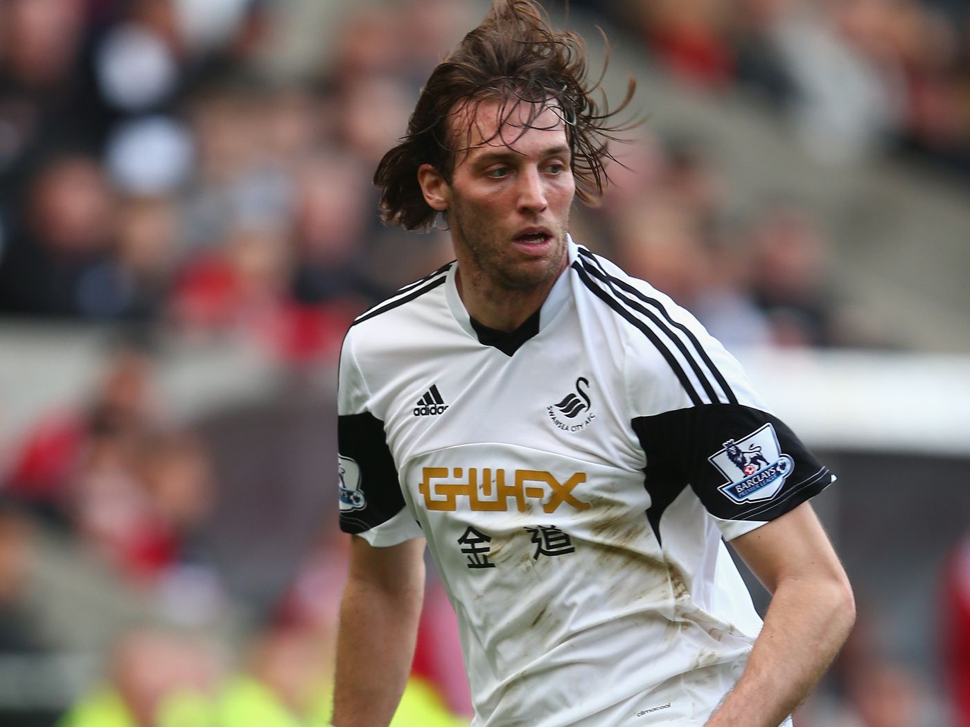 Michu Wallpapers - Wallpaper Cave