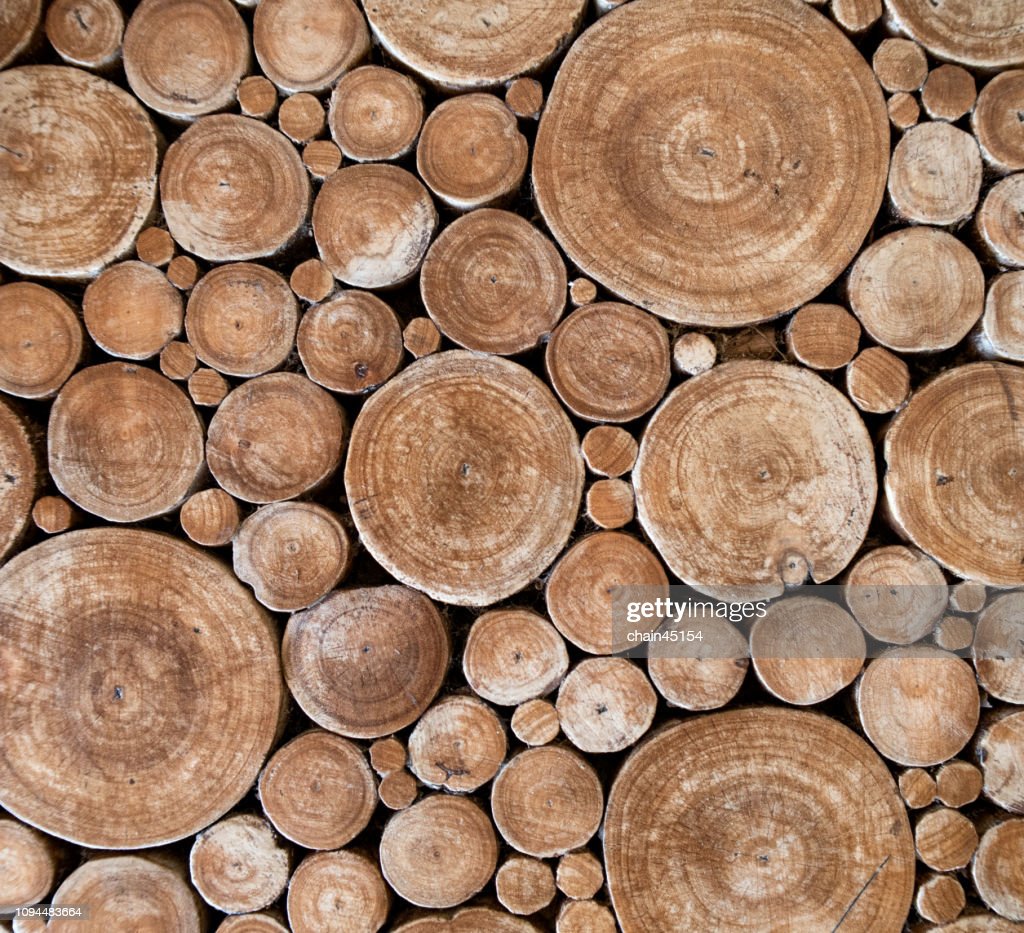 Tree Stump Wallpapers - Wallpaper Cave