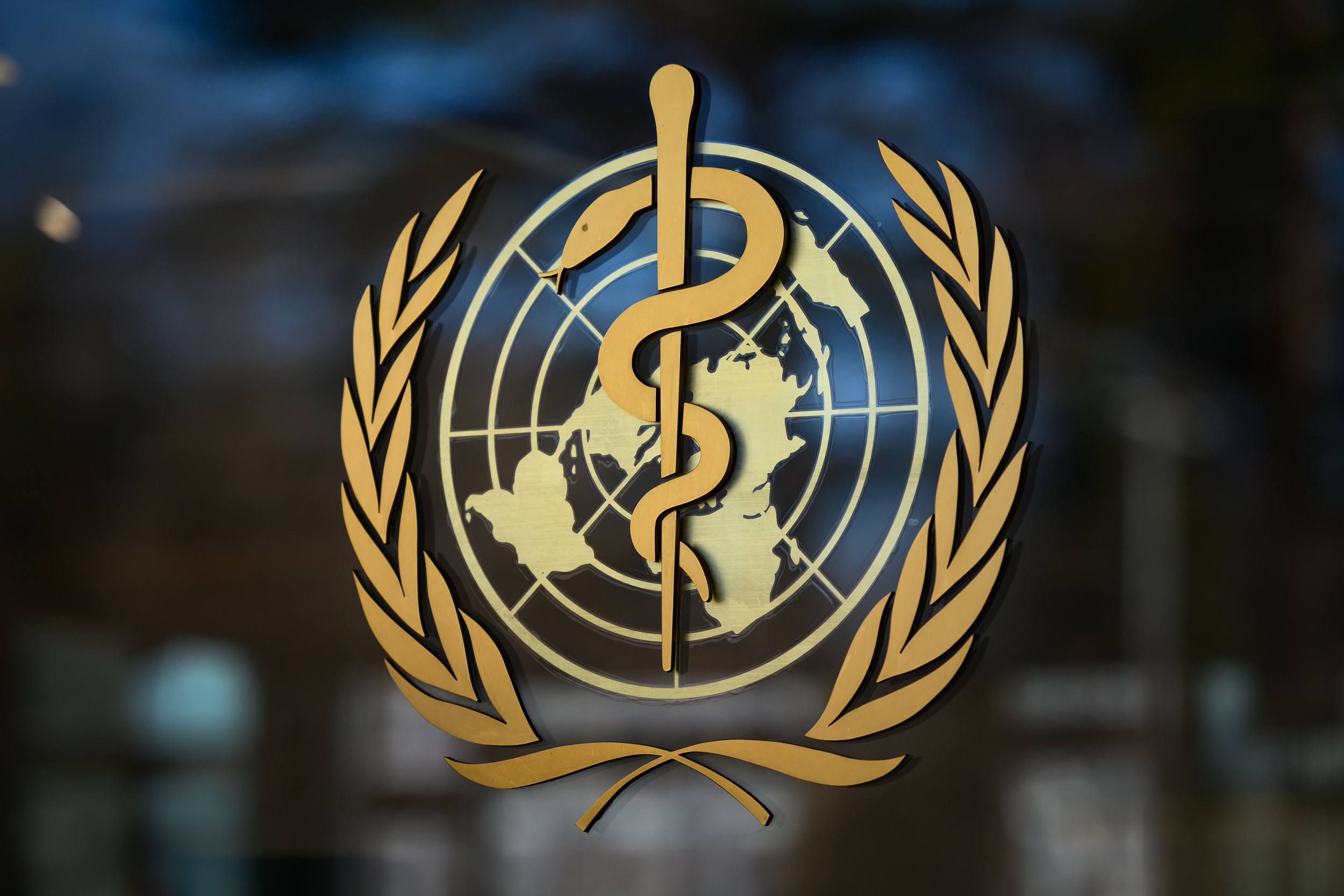 World Health Organisation Wallpapers - Wallpaper Cave