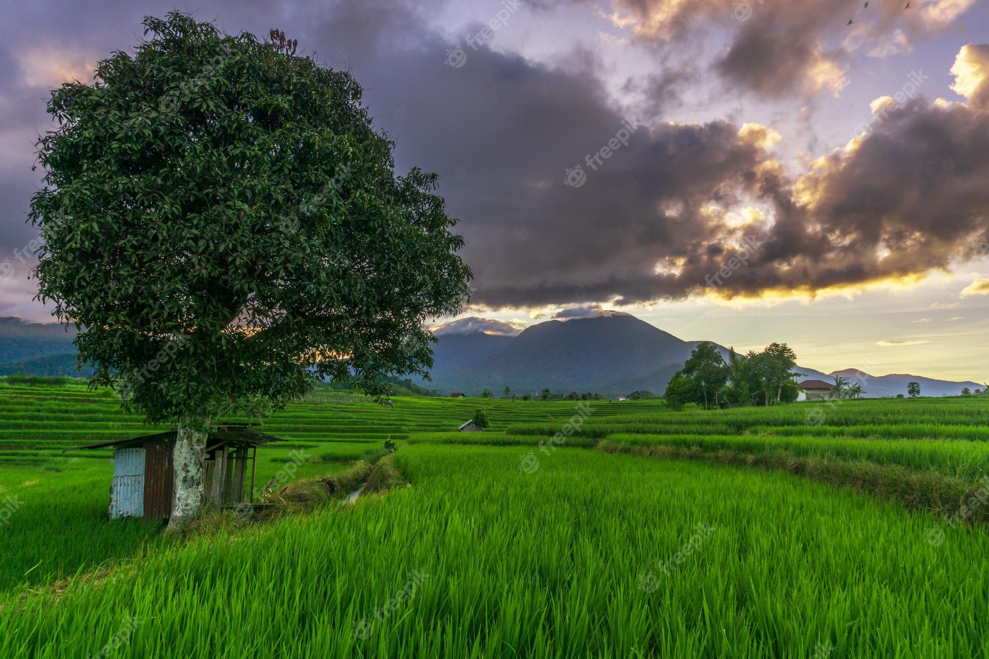 Green Village Wallpapers - Wallpaper Cave