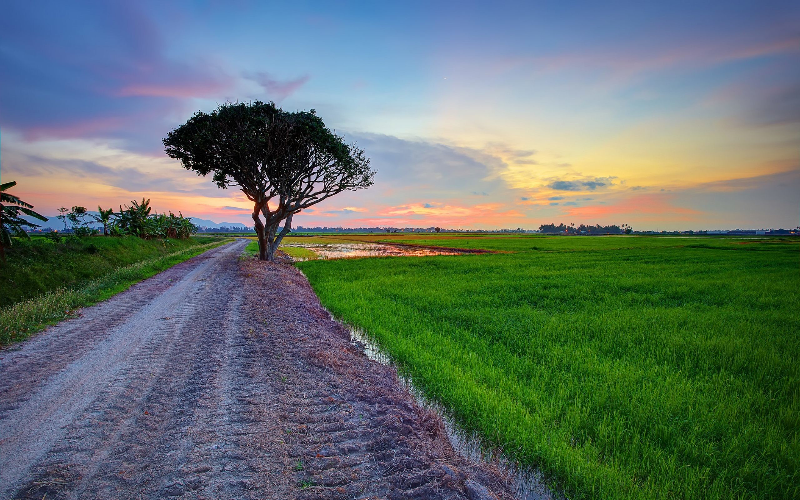 Green Village Wallpapers - Wallpaper Cave