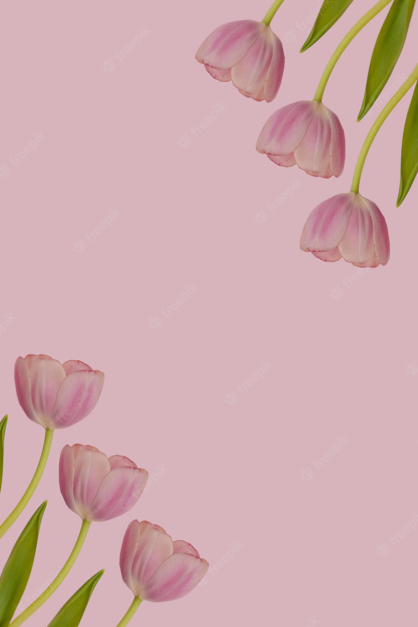 Tulips Art Wallpapers - Wallpaper Cave