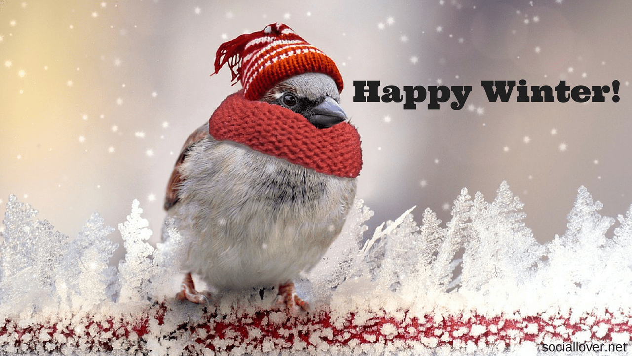 Cold Quotes Wallpapers - Wallpaper Cave