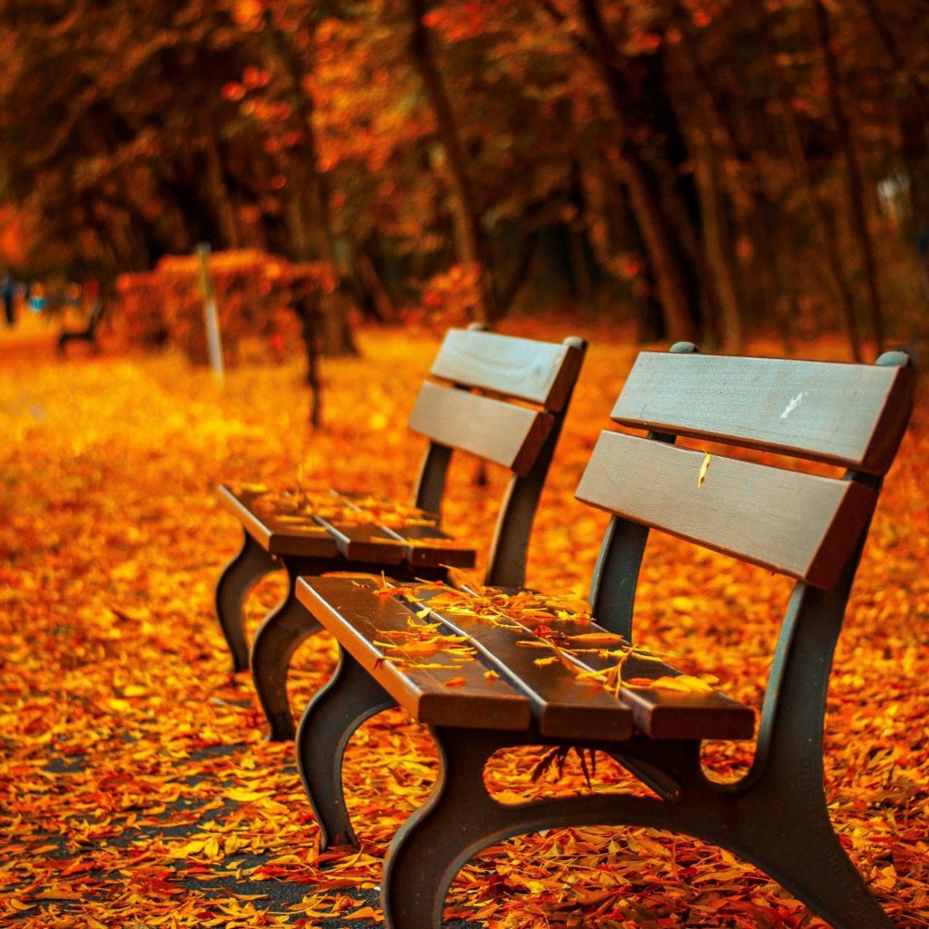 WP DP Wallpapers - Wallpaper Cave