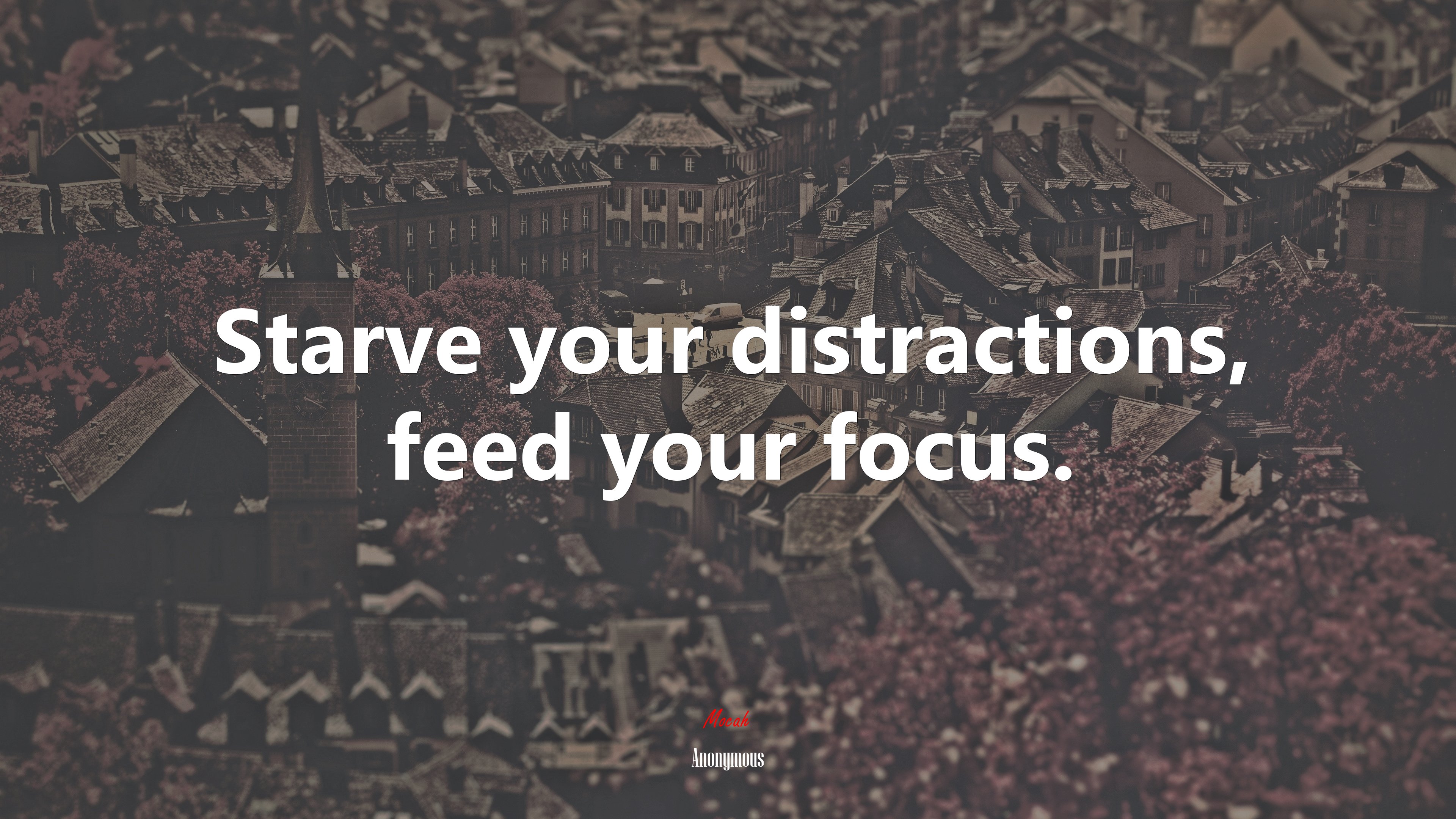 Focus 4k Wallpapers - Wallpaper Cave