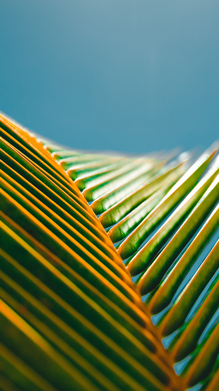 Simple Summer Wallpapers - Wallpaper Cave