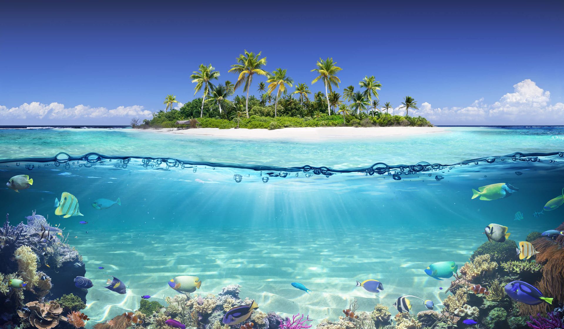 Ocean Reef Wallpapers - Wallpaper Cave