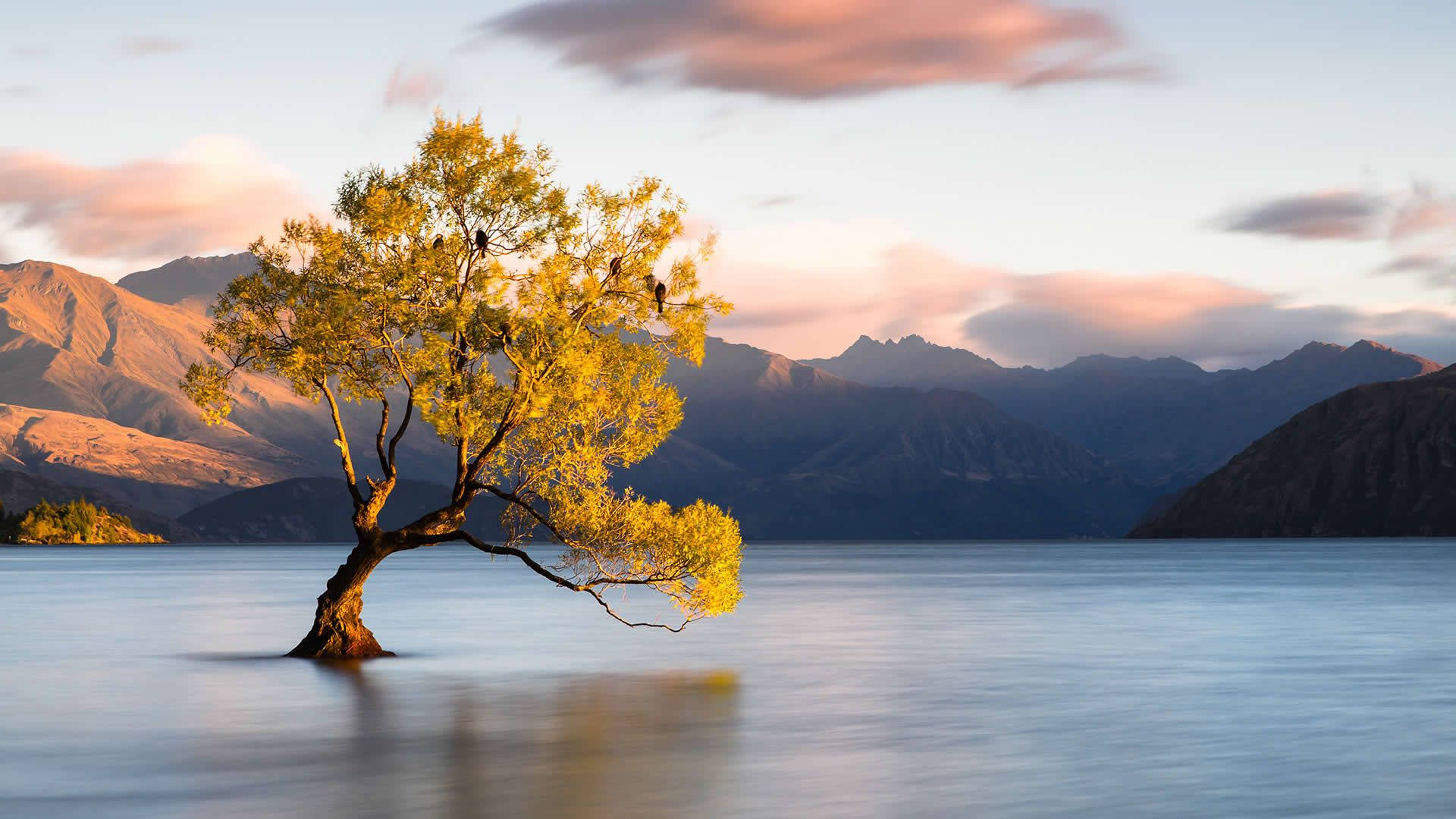 Wanaka Wallpapers - Wallpaper Cave