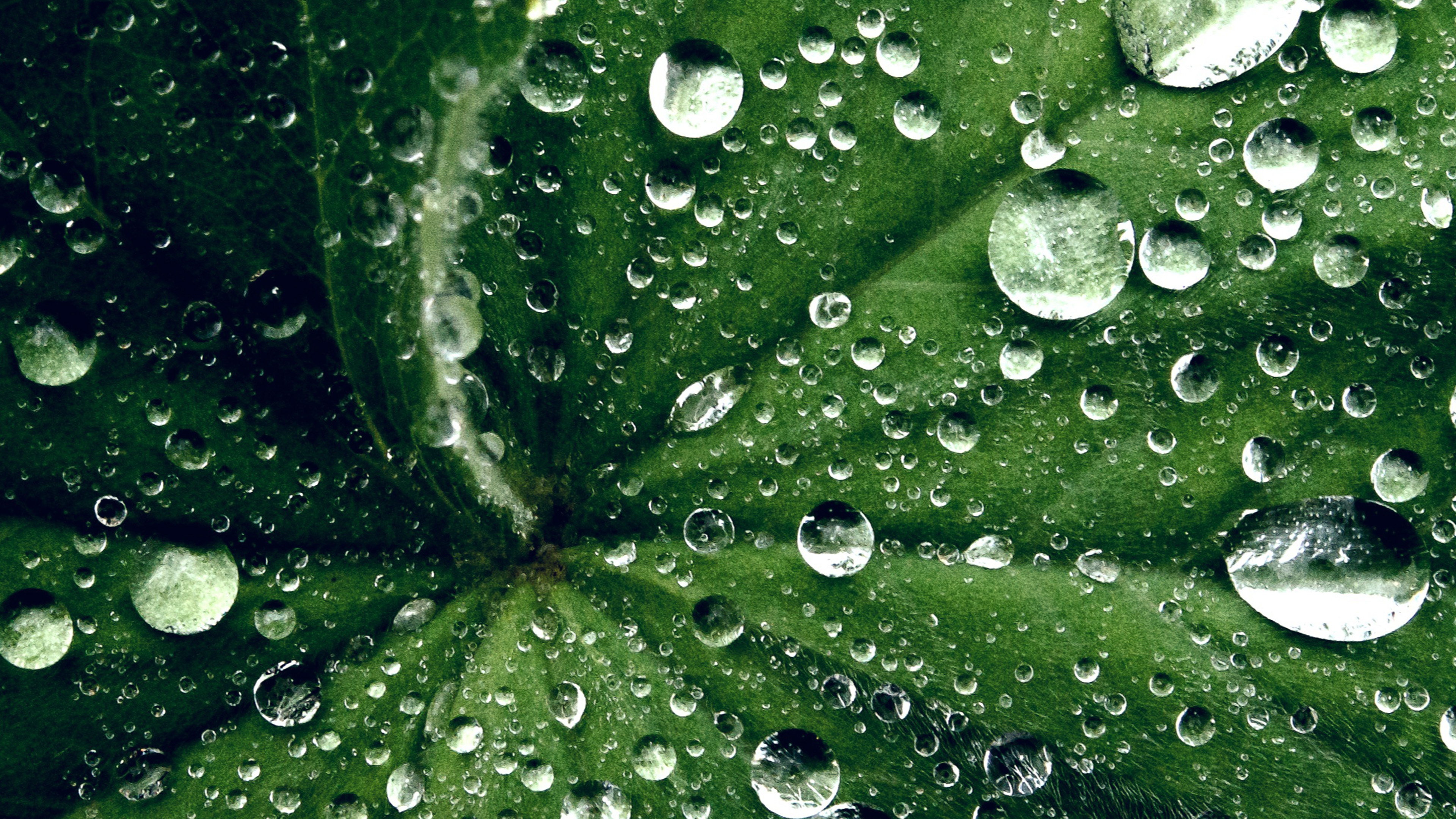 Green Summer Desktop Wallpapers - Wallpaper Cave