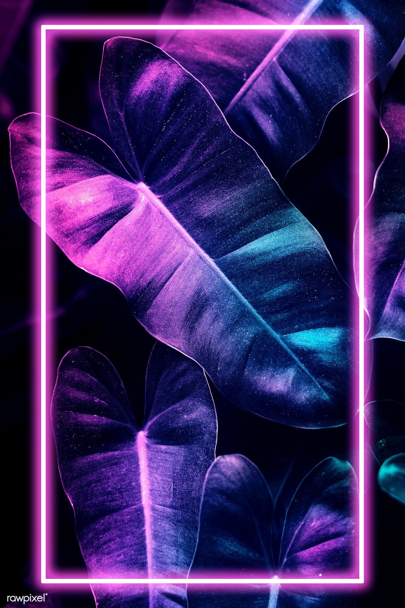 Neon Tropical Wallpapers - Wallpaper Cave