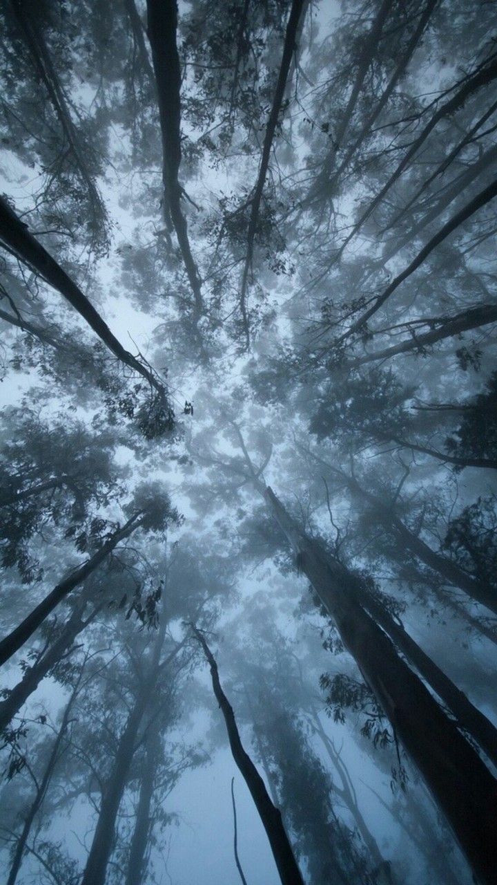 Grey Nature Wallpapers - Wallpaper Cave