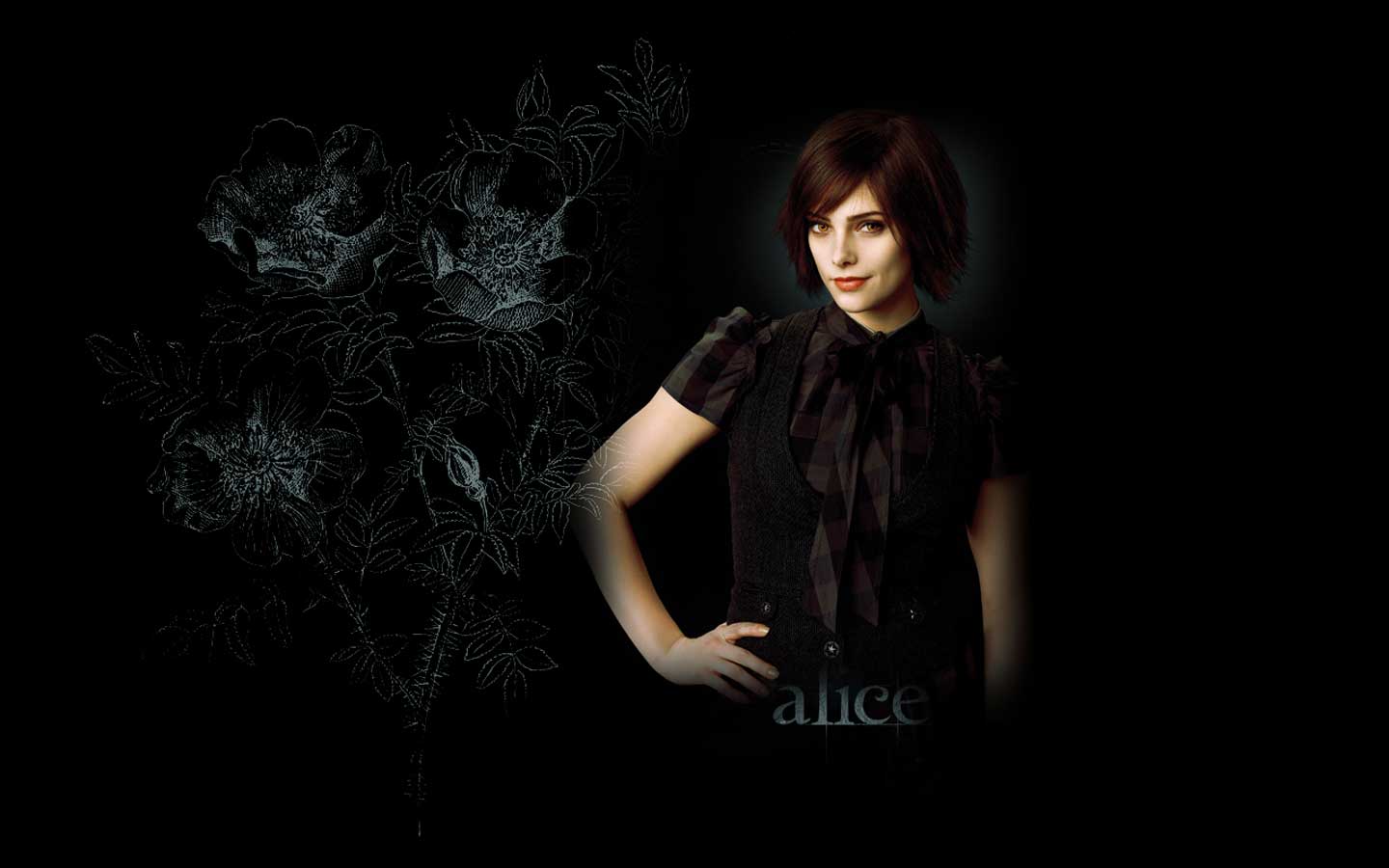 Twilight Alice Desktop Wallpapers - Wallpaper Cave