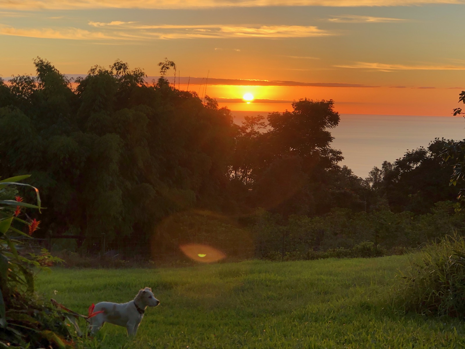 Sunset Coffee Wallpapers - Wallpaper Cave