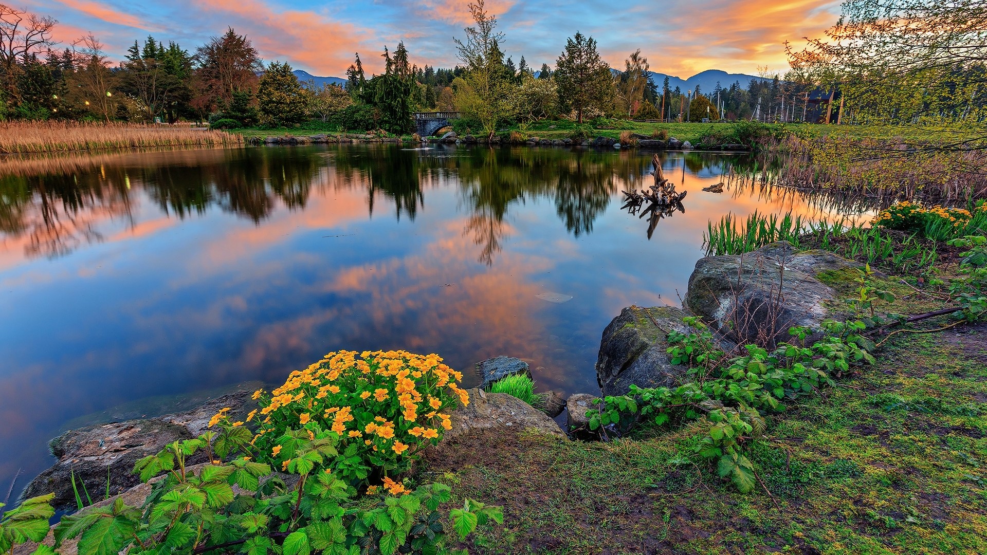 Stanley Park Wallpapers - Wallpaper Cave