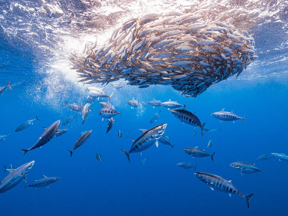 Open Ocean Wallpapers - Wallpaper Cave