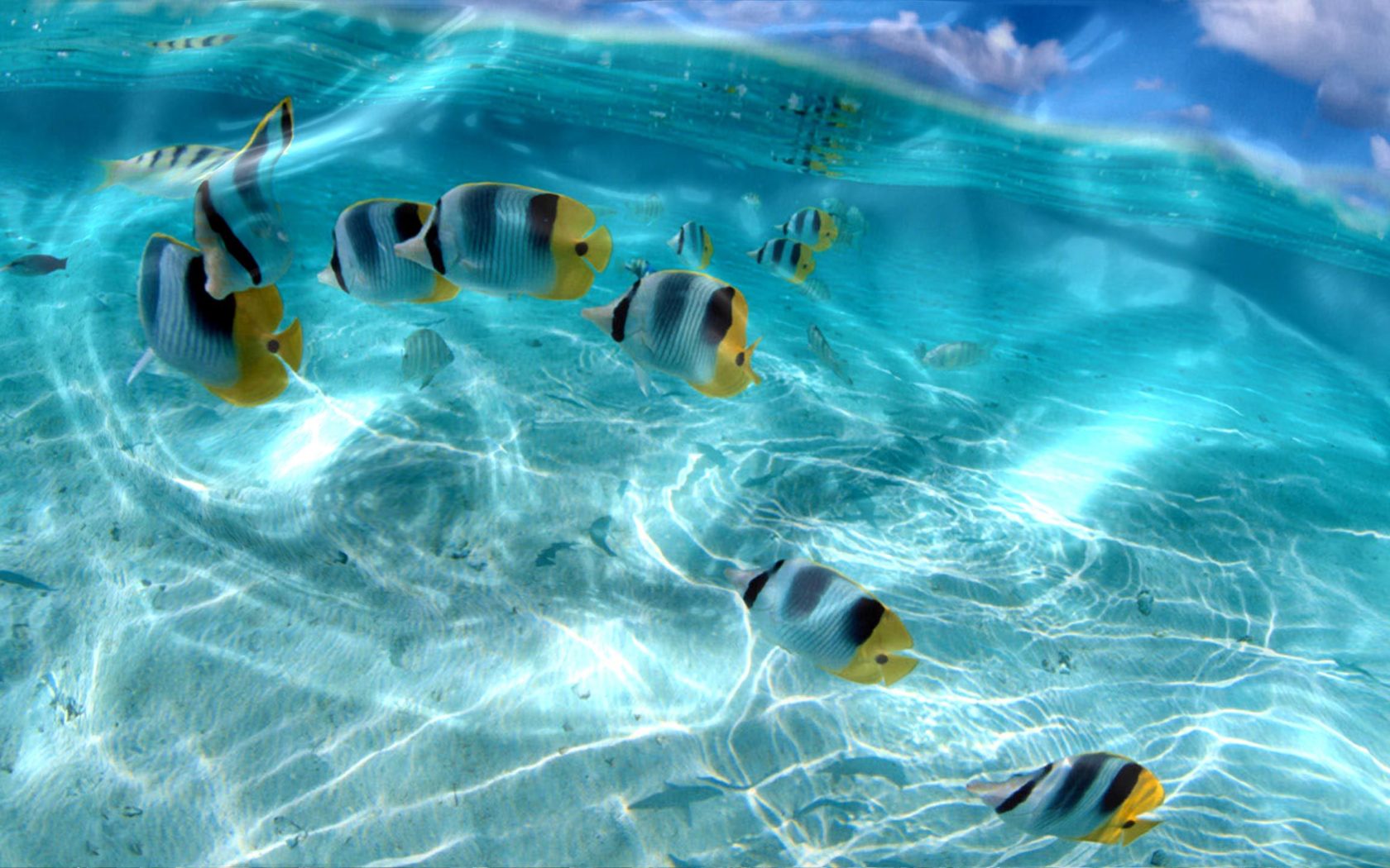 Water PC Wallpapers - Wallpaper Cave