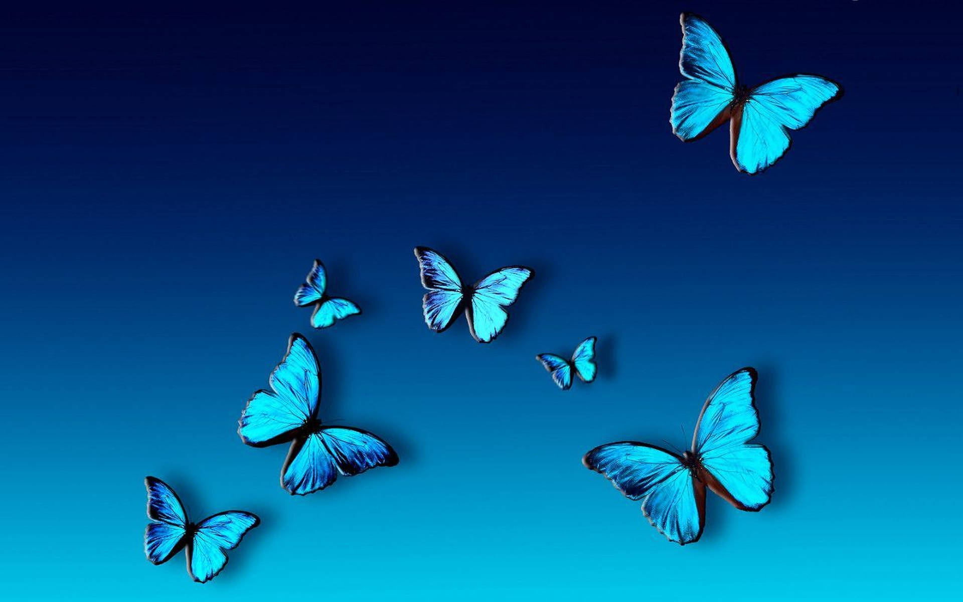 Blue Preppy Butterfly Wallpapers - Wallpaper Cave