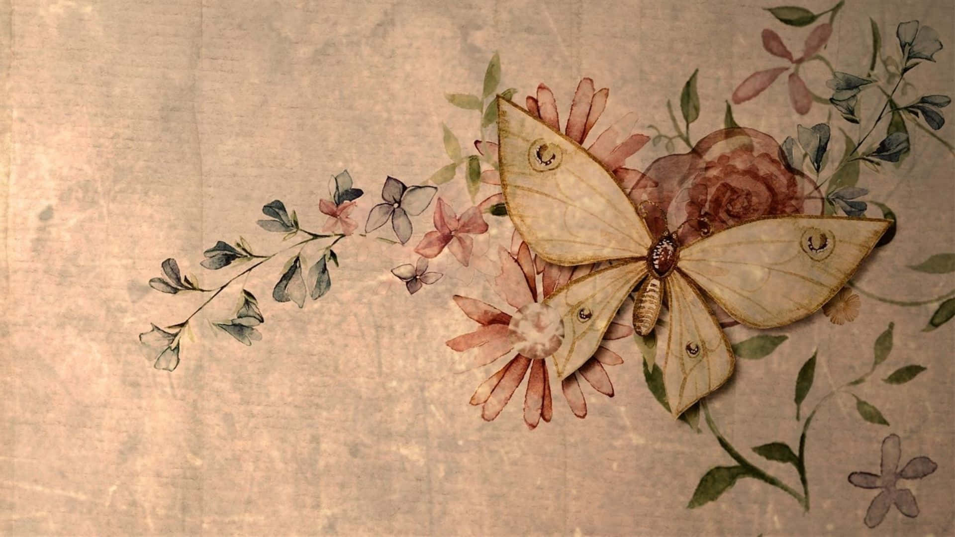 Butterfly Aesthetic Desktop Wallpapers - Wallpaper Cave