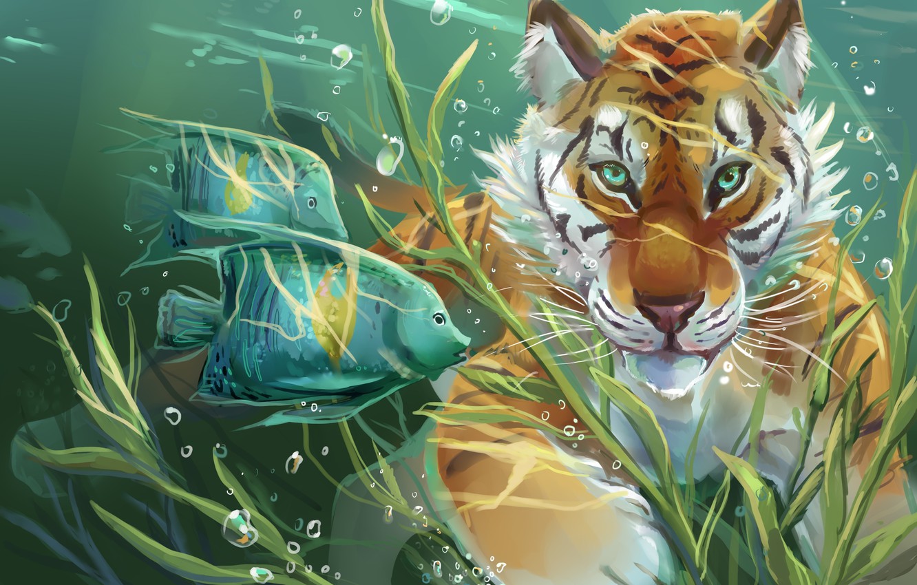 Tiger In Water Wallpapers - Wallpaper Cave