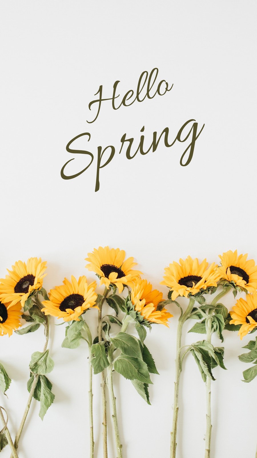 Spring Aesthetic Yellow Wallpapers - Wallpaper Cave