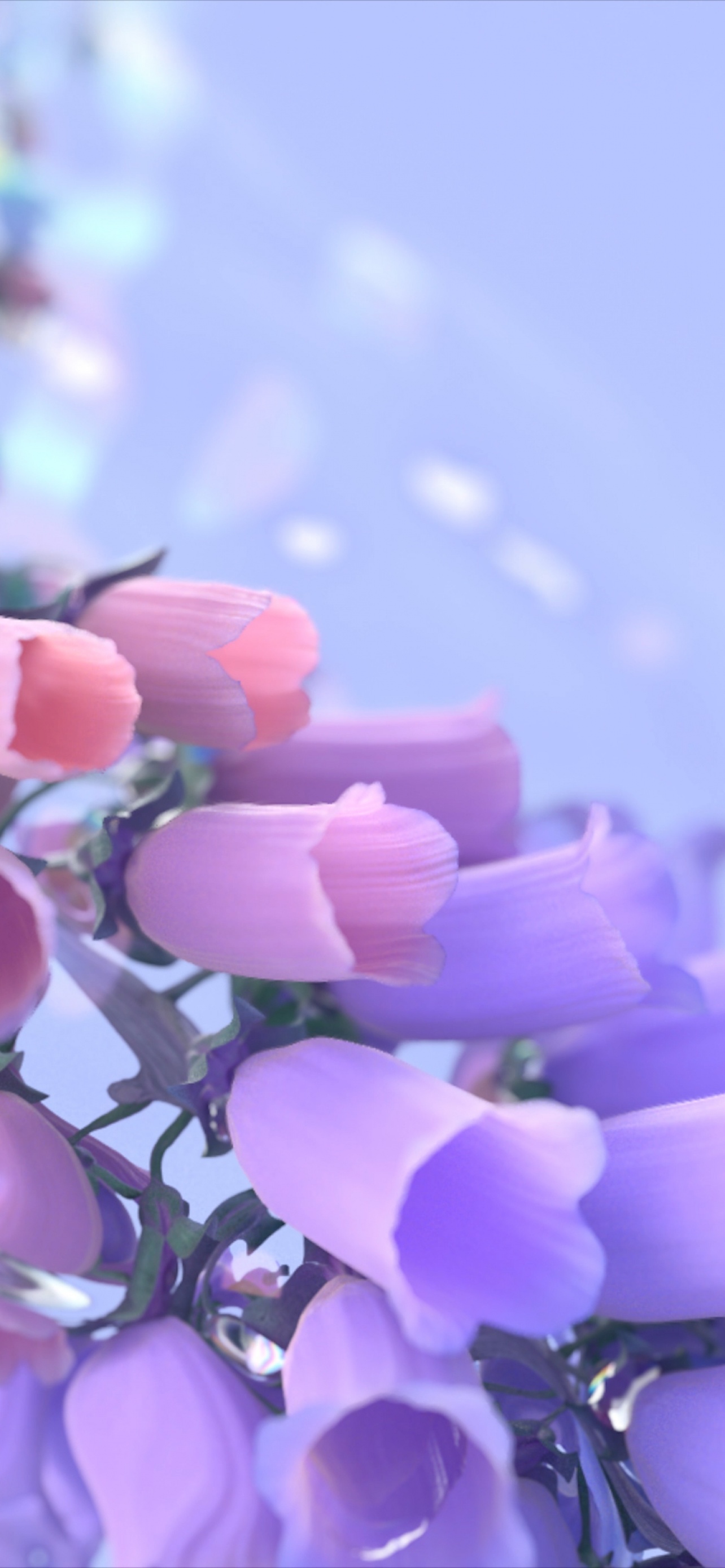 iPhone 14 Spring Flowers Wallpapers - Wallpaper Cave