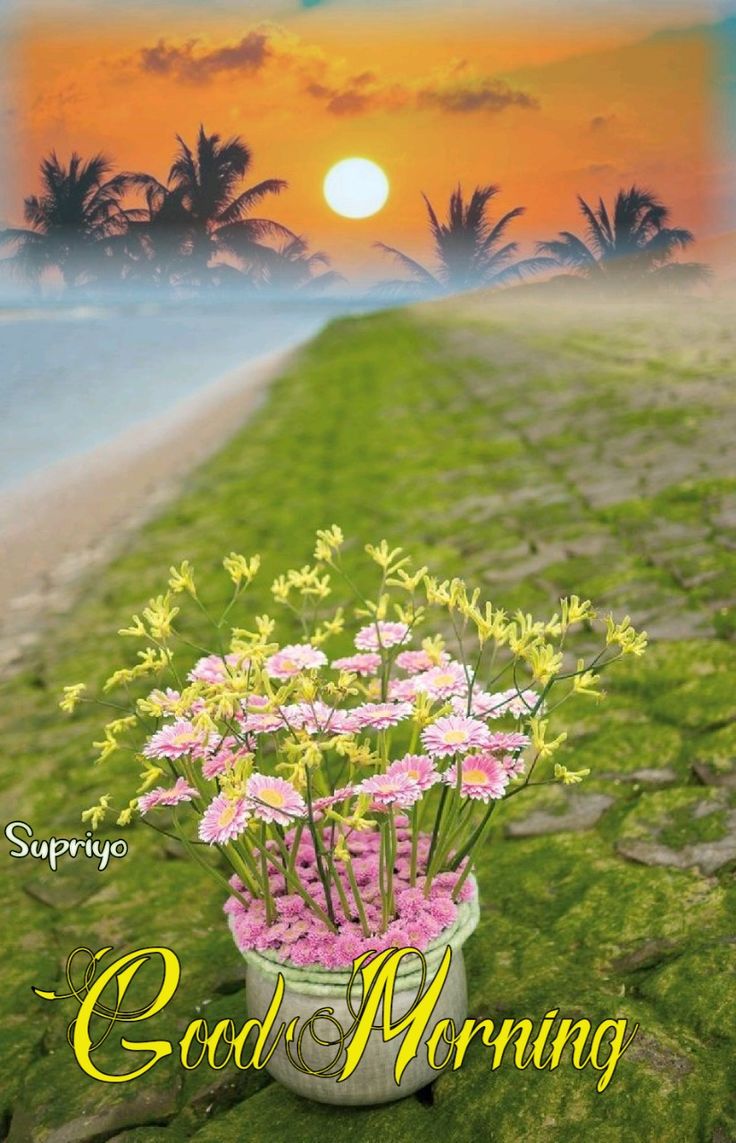 Nice Summer Morning Wallpapers - Wallpaper Cave