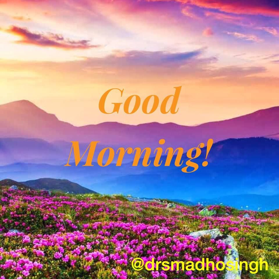 Fresh Morning Wallpaper 50+ New Good Morning, Quotes, Wishes, Whatsapp