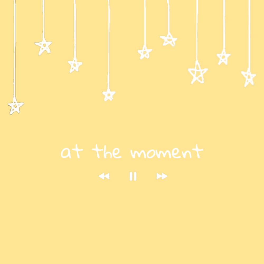 Spotify PFP Wallpapers - Wallpaper Cave